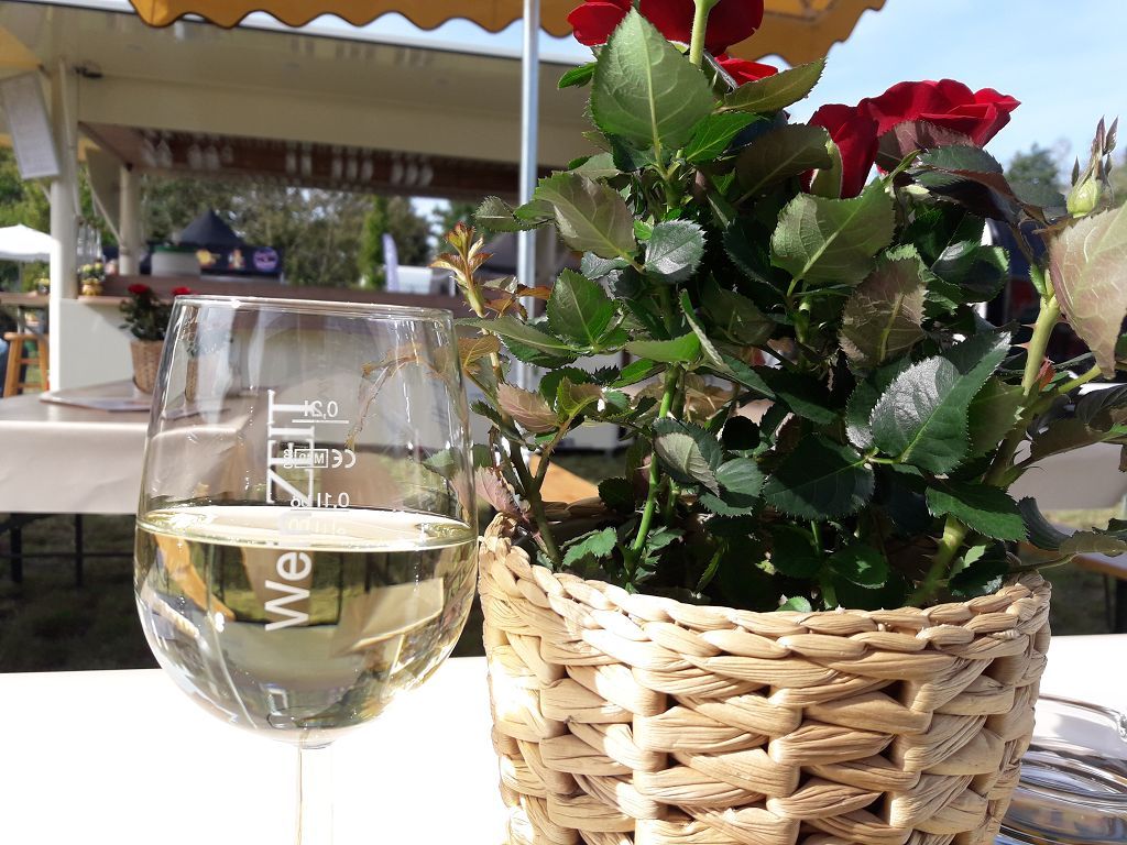 Wein ZEIT | Badischer Wein - von der Sonne verwöhnt!