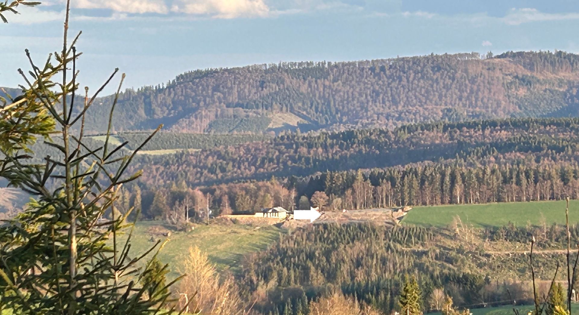 Sehnsucht Waldidyll - exklusive Häuser in Winterberg.