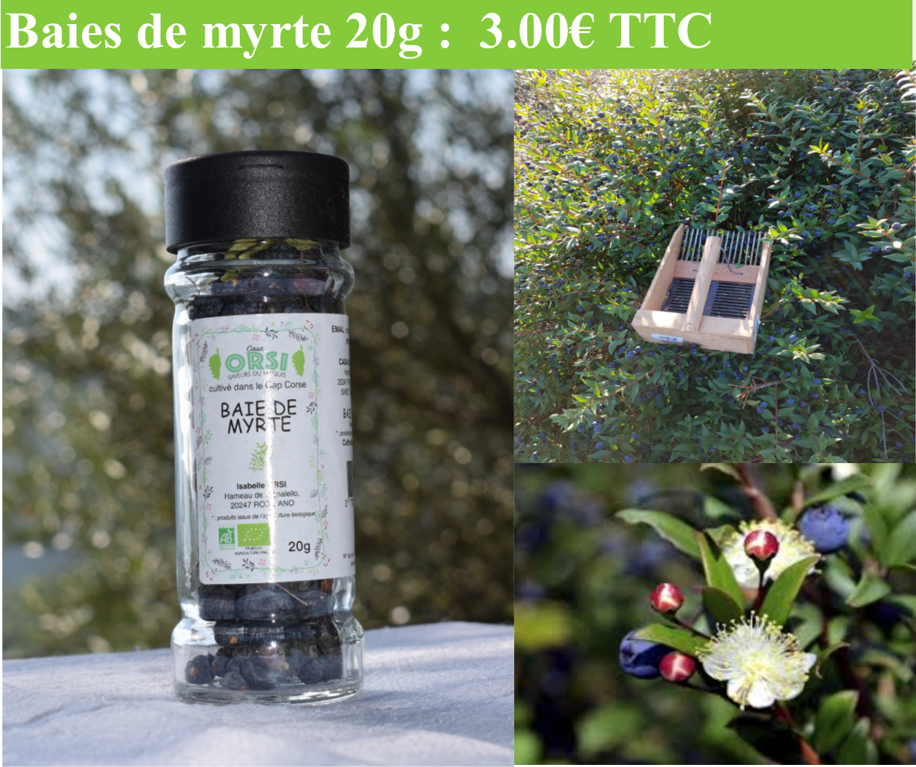 Herbes aromatiques