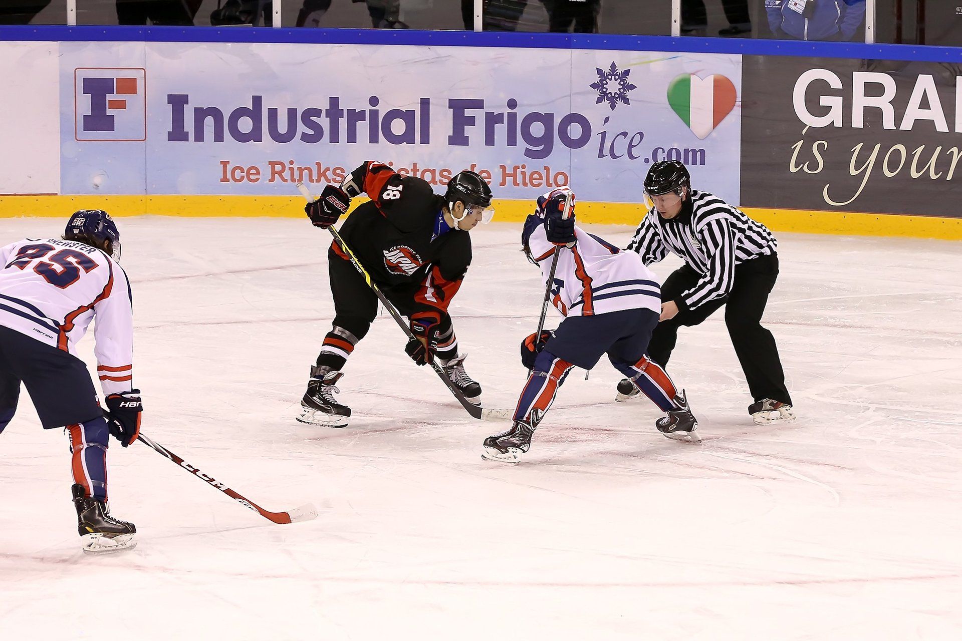 Ice Hockey & Curling Rinks