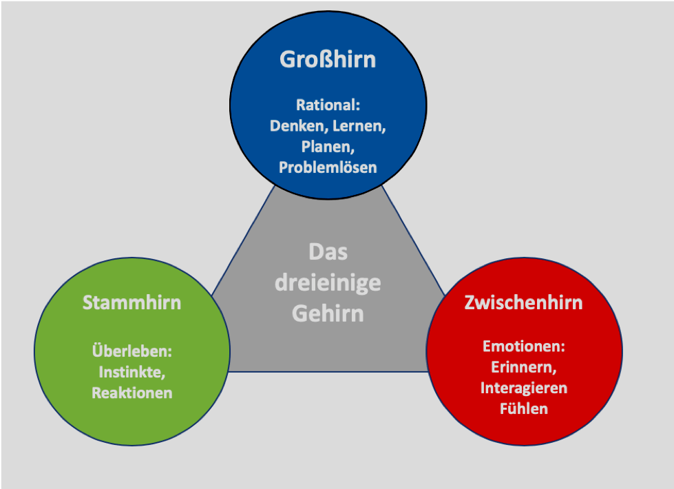 Coaching und Training