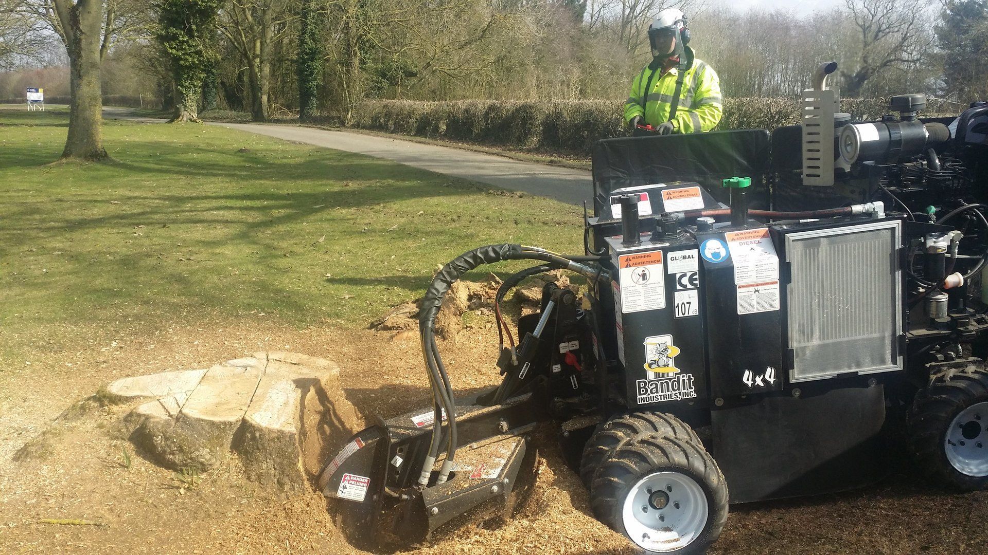 Stump Beaver - Professional Stump Grinding