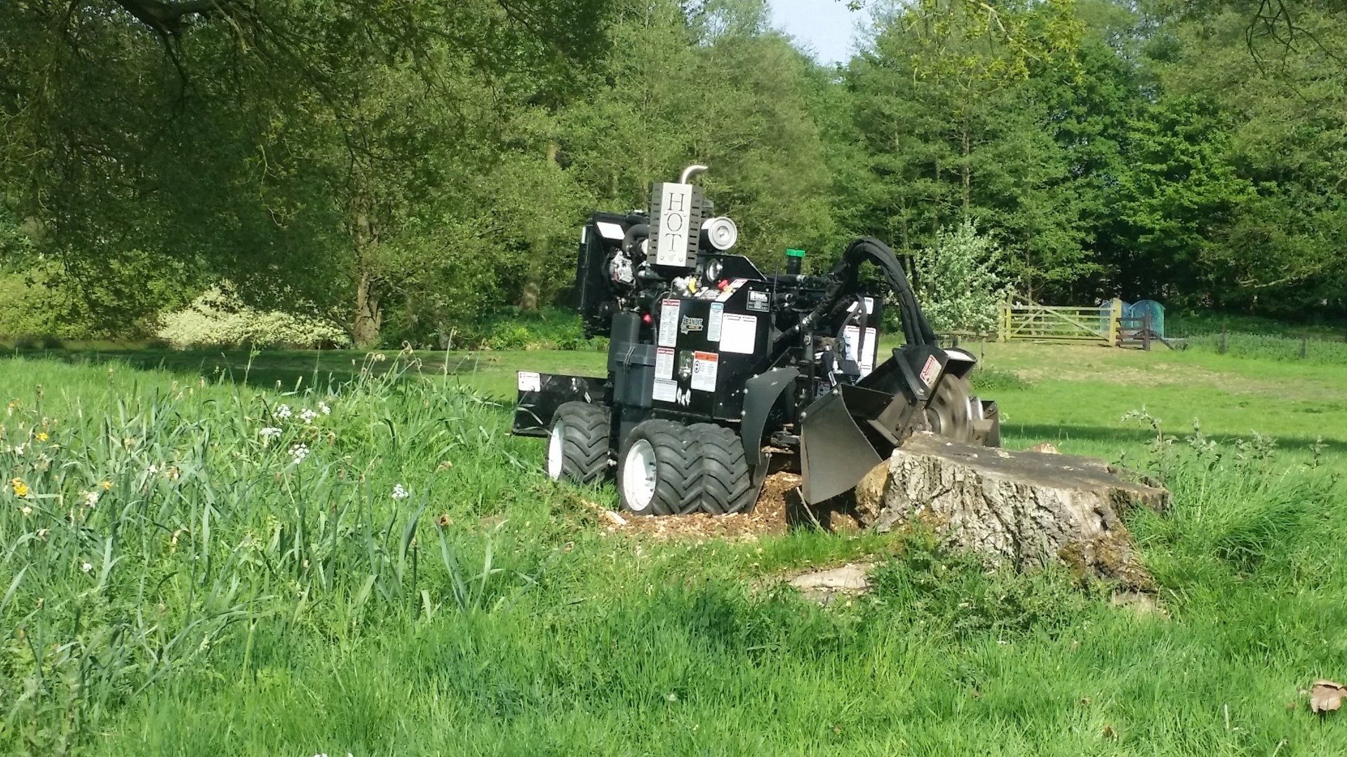 Stump Beaver - Professional Stump Grinding