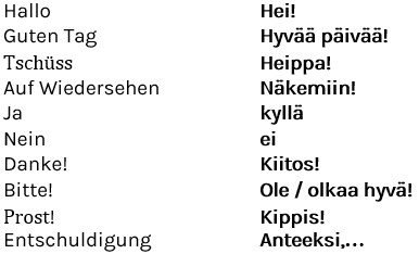 Finnisch lernen mit Langzeitgedächtnis-Lernmethode