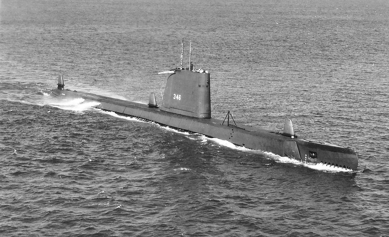 Home [www.rockymountainsubvets.com]