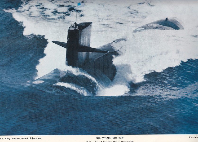 Home [www.rockymountainsubvets.com]