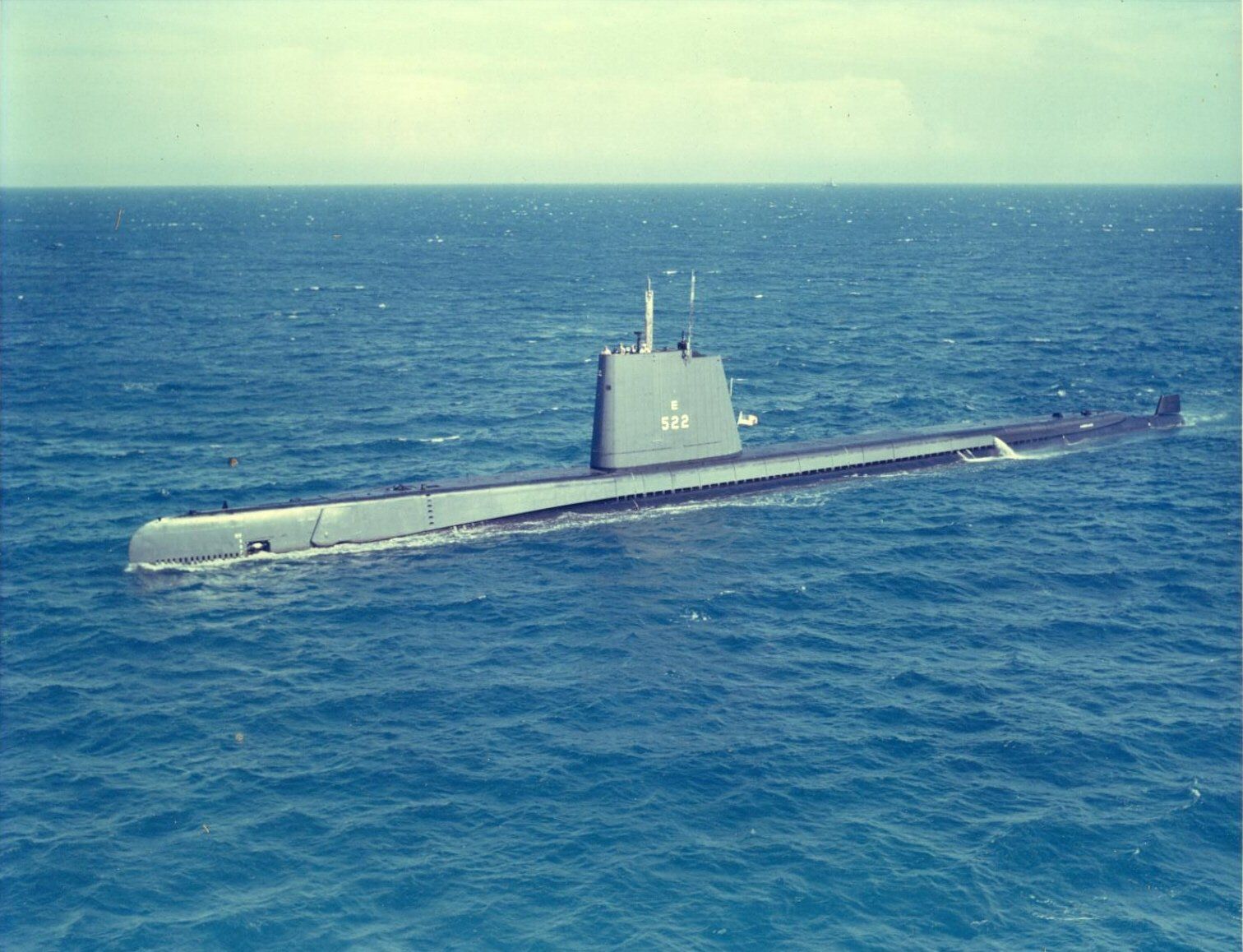 Home [www.rockymountainsubvets.com]