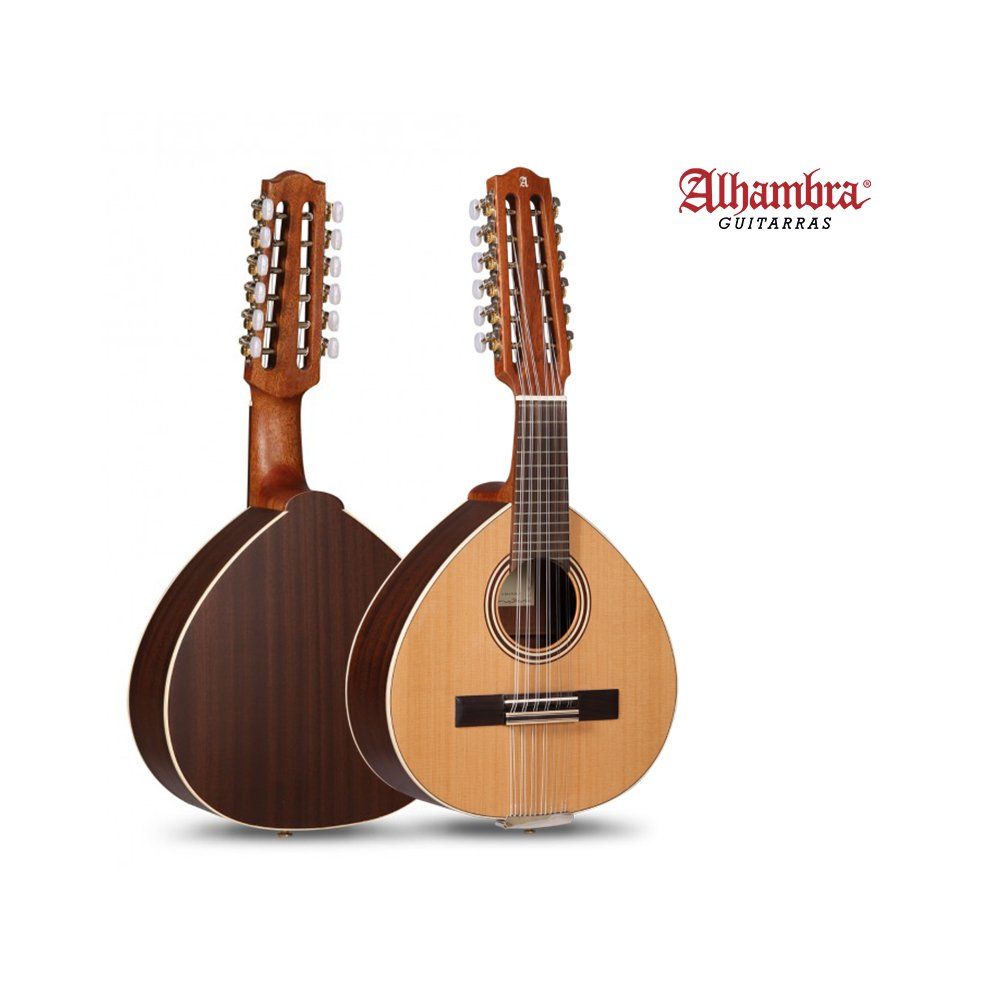 Instrumentos de púa