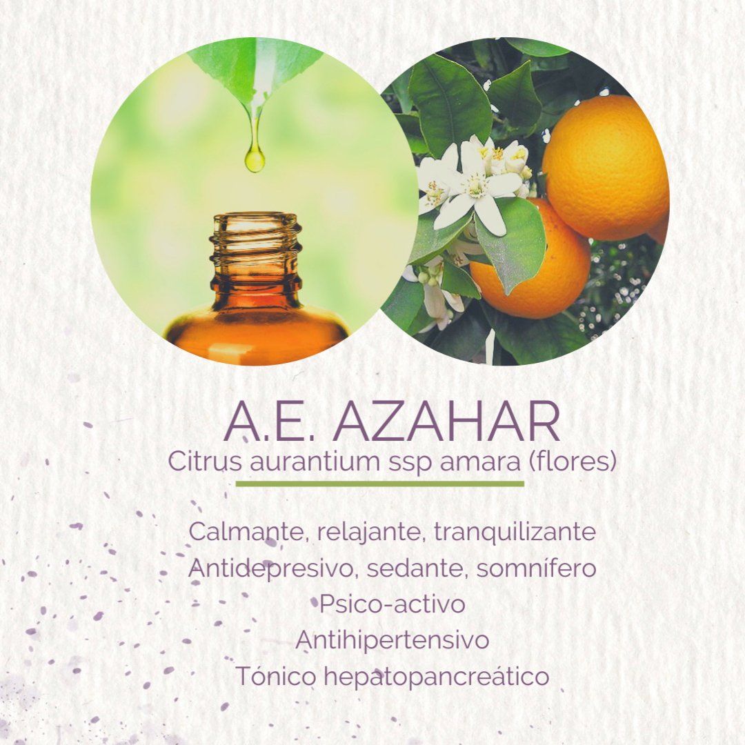 Aceite esencial Azahar (flor del naranjo) - Citrus aurantium ssp amara ...