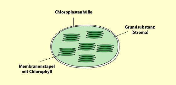 Matthias Voss Astronomie, Depressionen, Segeln, Entstehung und ...