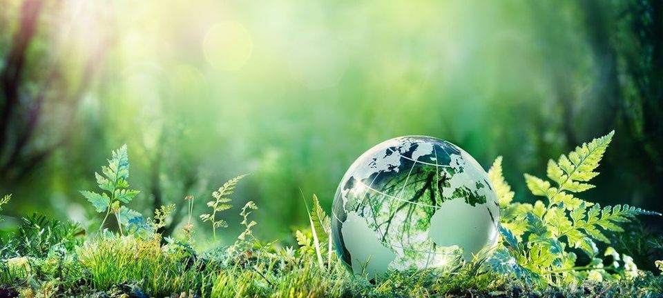 Célébrons ensemble l’écologie avec la Journée Mondiale de la Terre