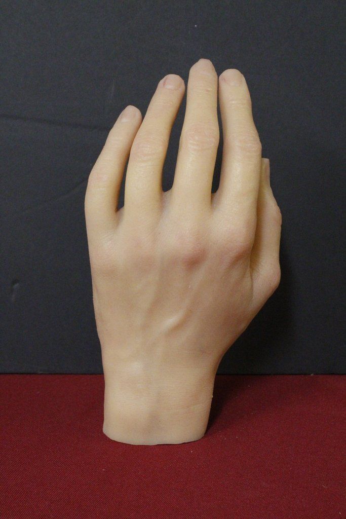 Prosthetic Bodies & Limbs for Hire and Custom makes