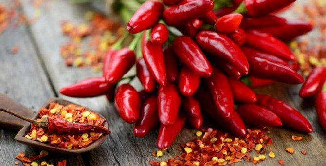 Il peperoncino calabrese