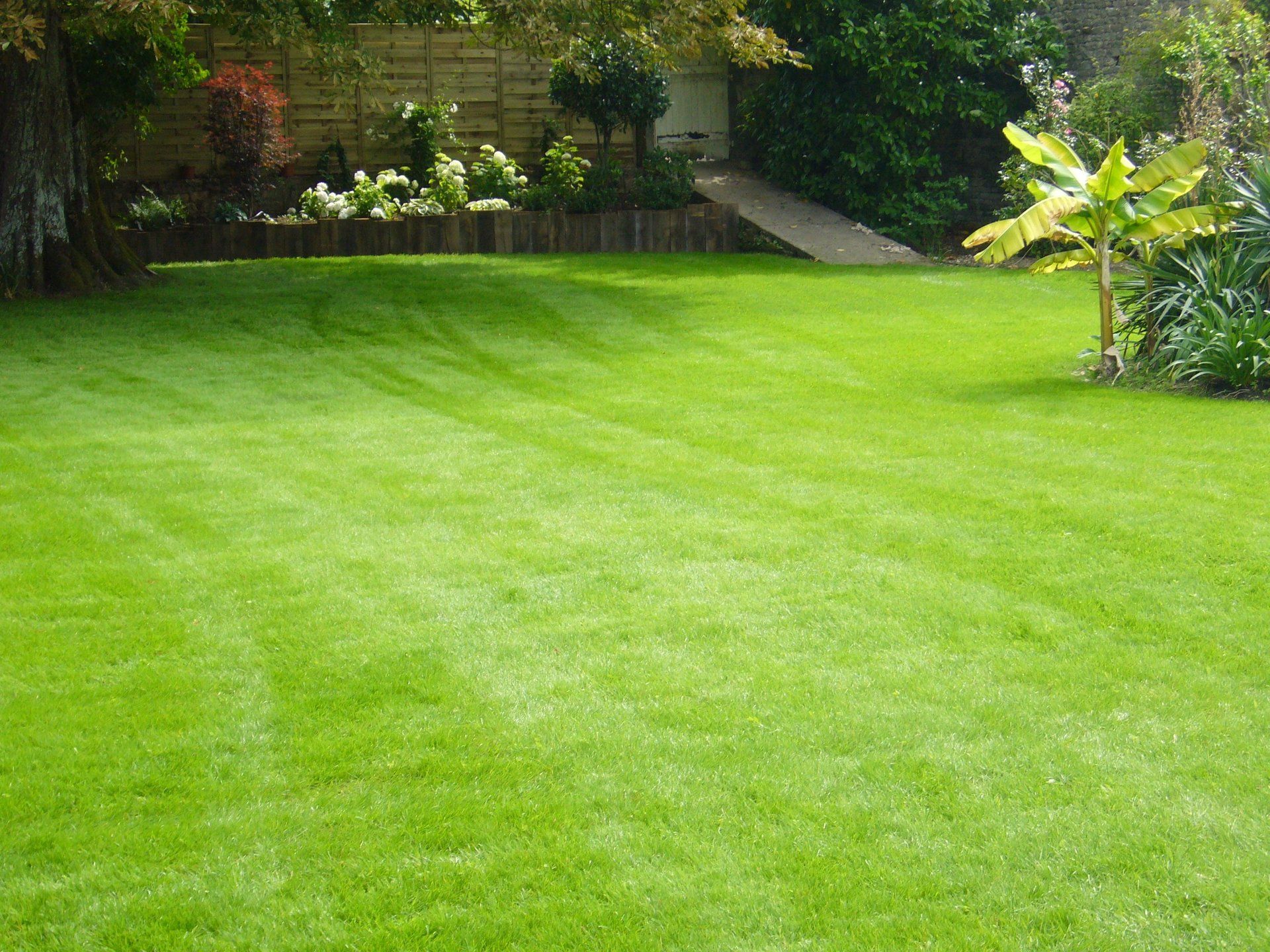 Gazon - Bertrand Paysage