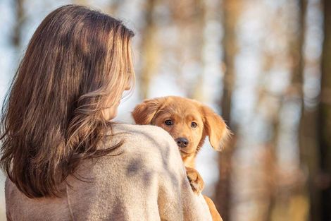 LL Photography - Portfolio Mensch & Tier