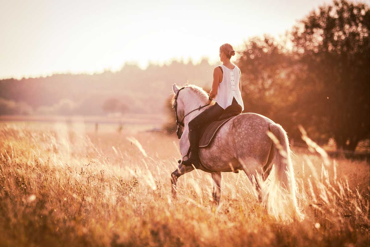 LL Photography - Portfolio Mensch & Tier