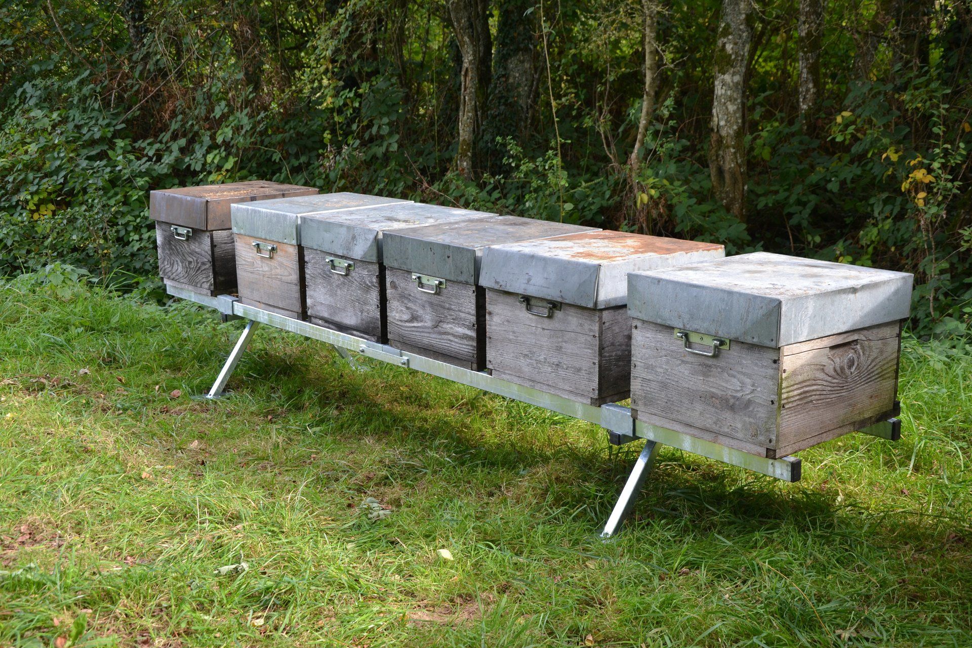 Ruchers du Bassigny : Producteurs de miel et fabricants de matériel apicole