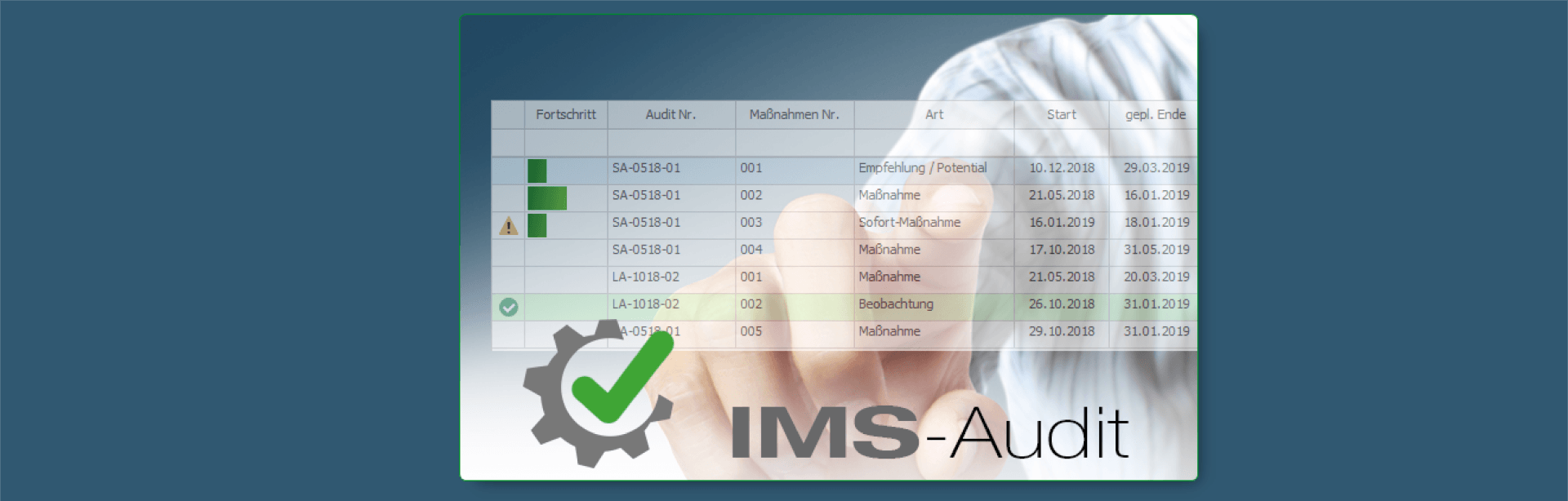 IMS-Audit