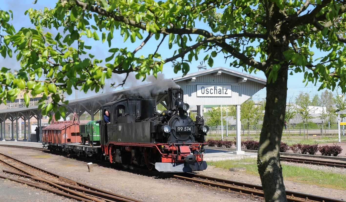 Wilder Robert Oschatz