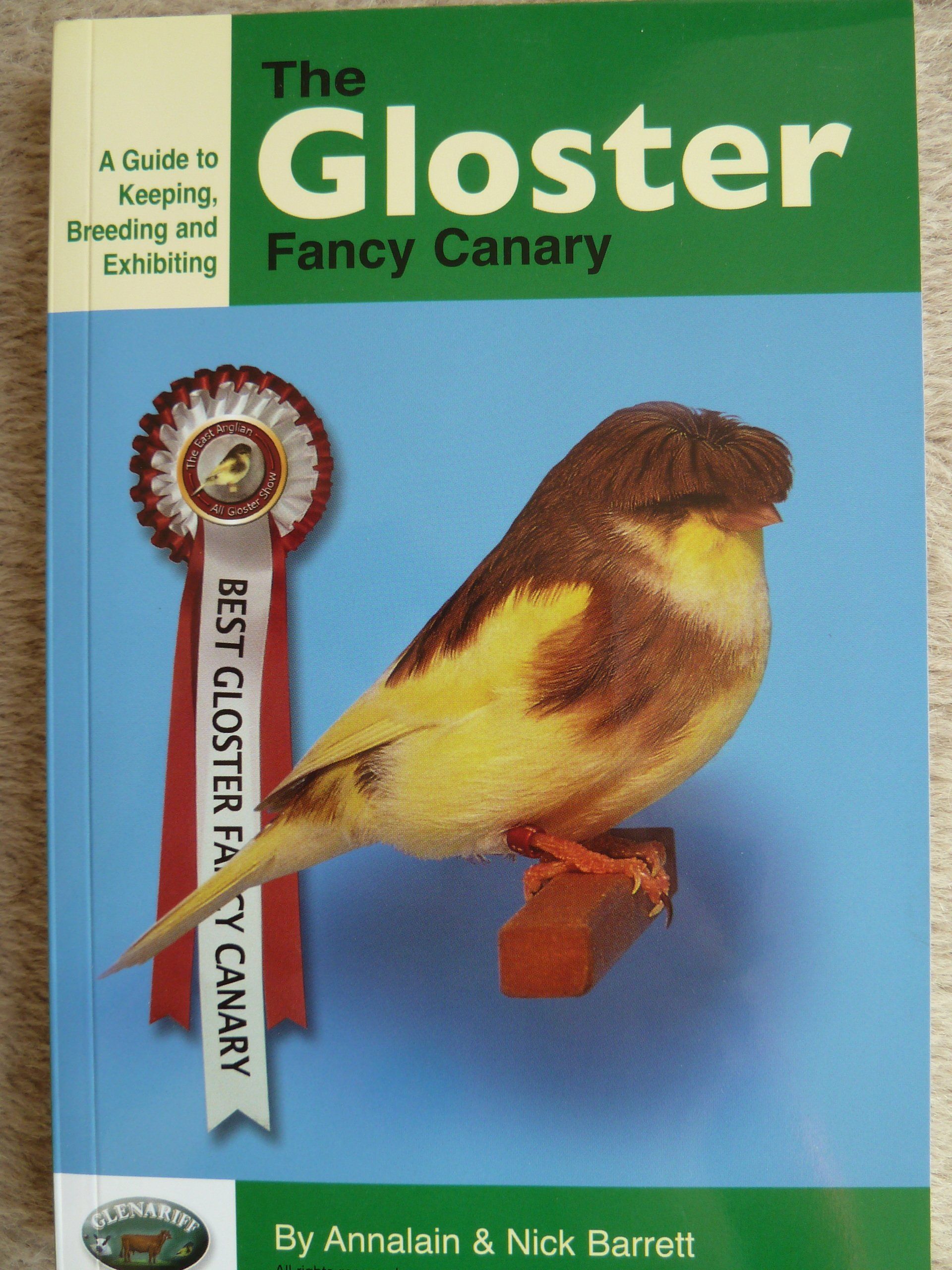 Glosterzucht Gregor Pott - Gloster-Fancy