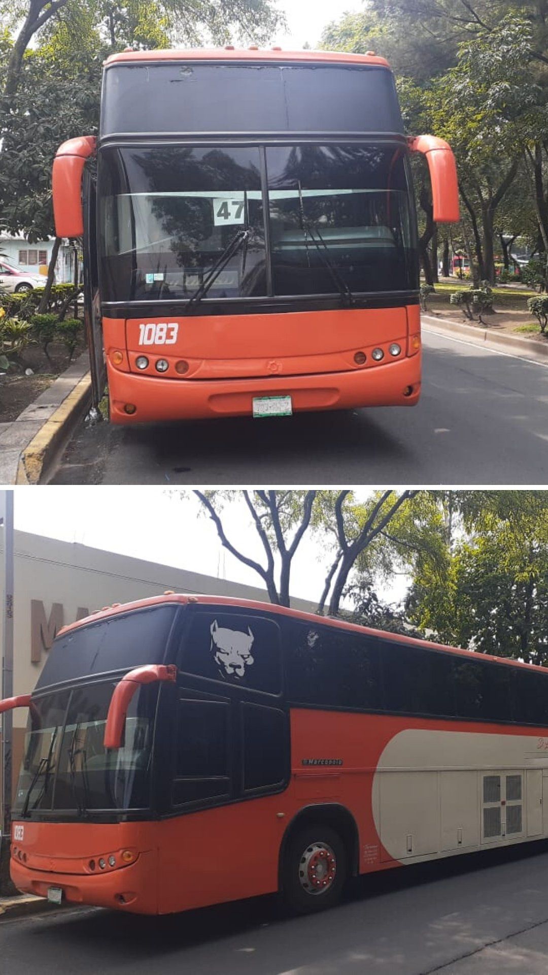 Renta de autobuses