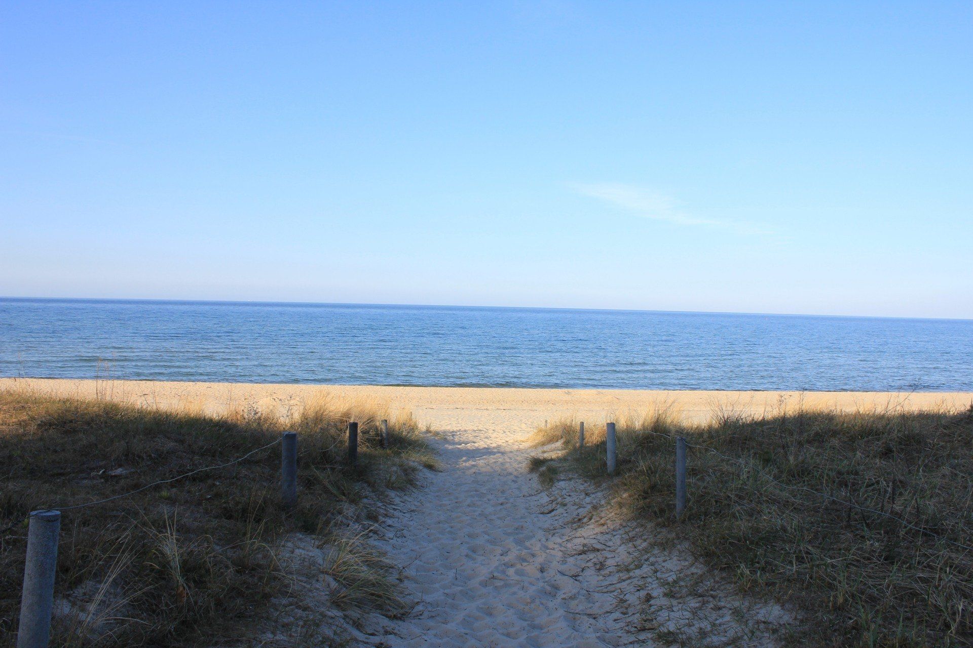 Insel Rügen eine Perle in der Ostsee mit atemberaubender Natur