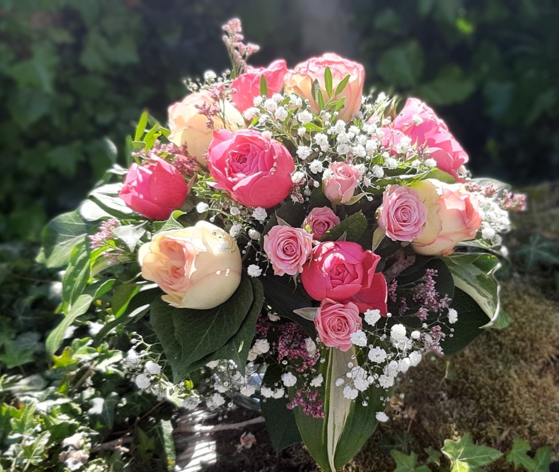 Moor Flowers Lilienthal