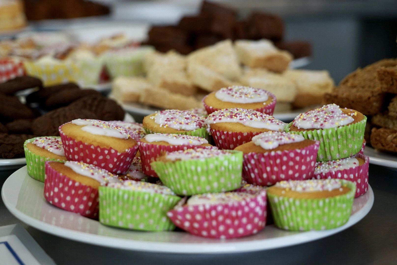 Welcome to Nell Bank | Outdoor learning, adventure & play