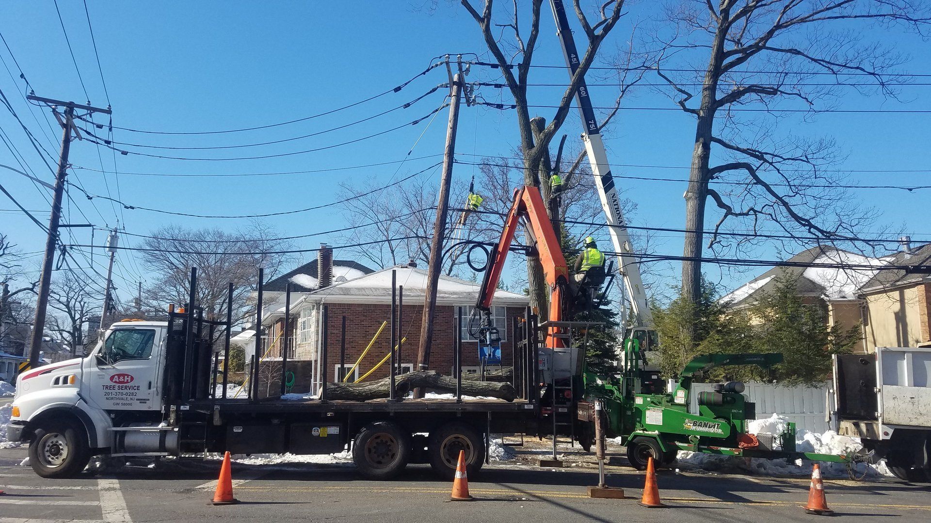 A&H Tree Service | Tree and Stump Removal | Bergen County, NJ