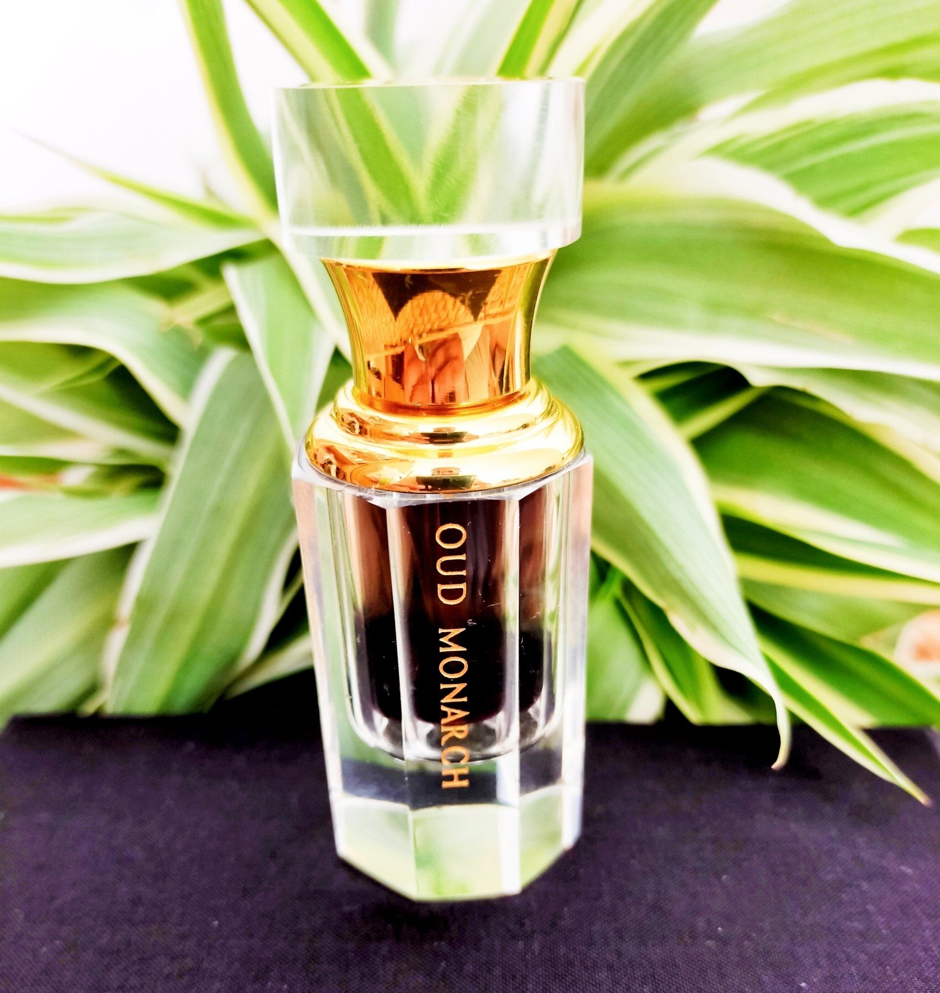 Arabian Perfumes - Luton, Perfume, Fragrances, for, Men, Direct, Women