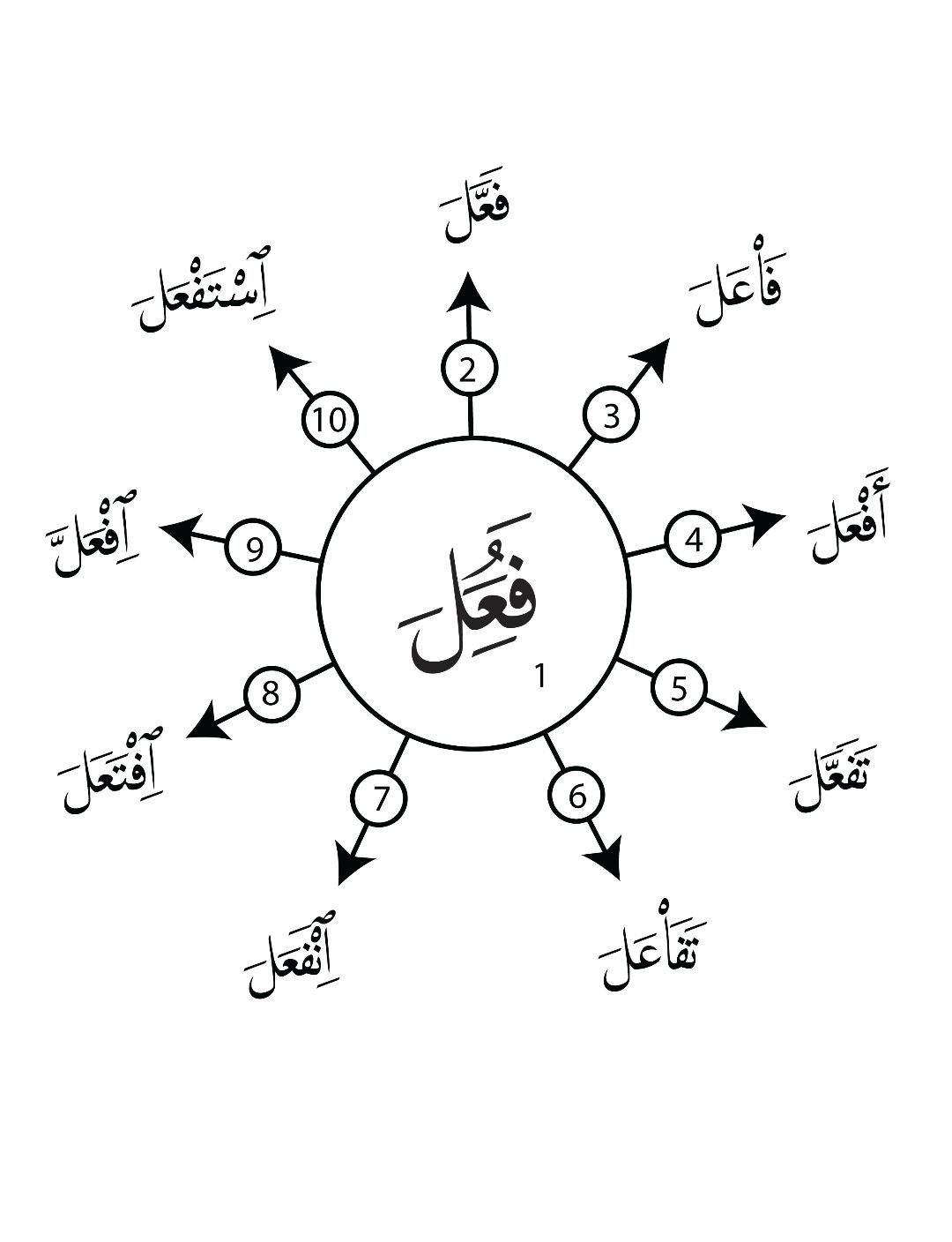 Study Online basic Arabic Grammar Live with a PhD Professor