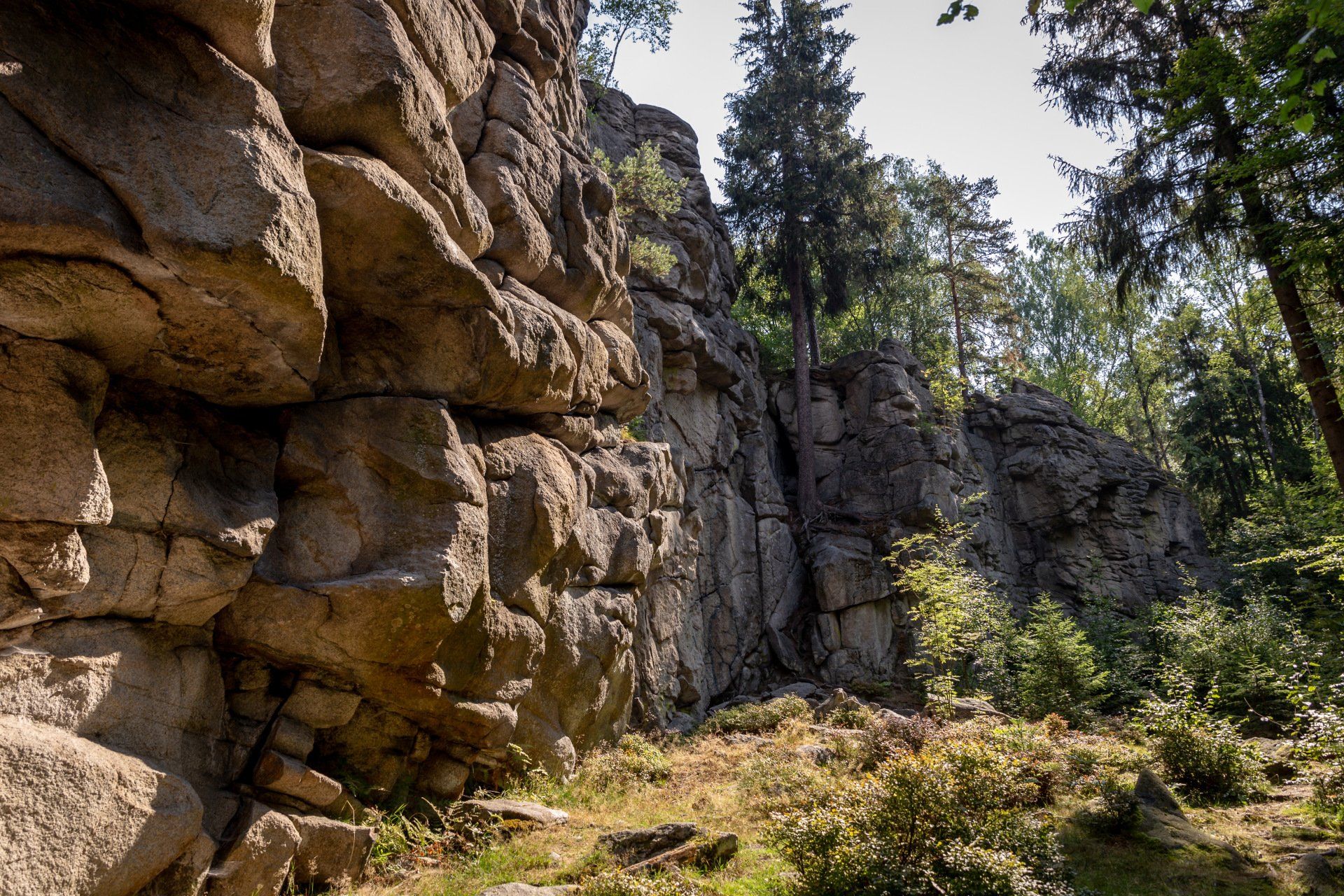 Felsen im Naturpark Steinwald