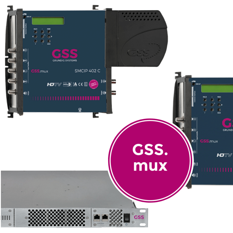 Startseite GSS Grundig Systems