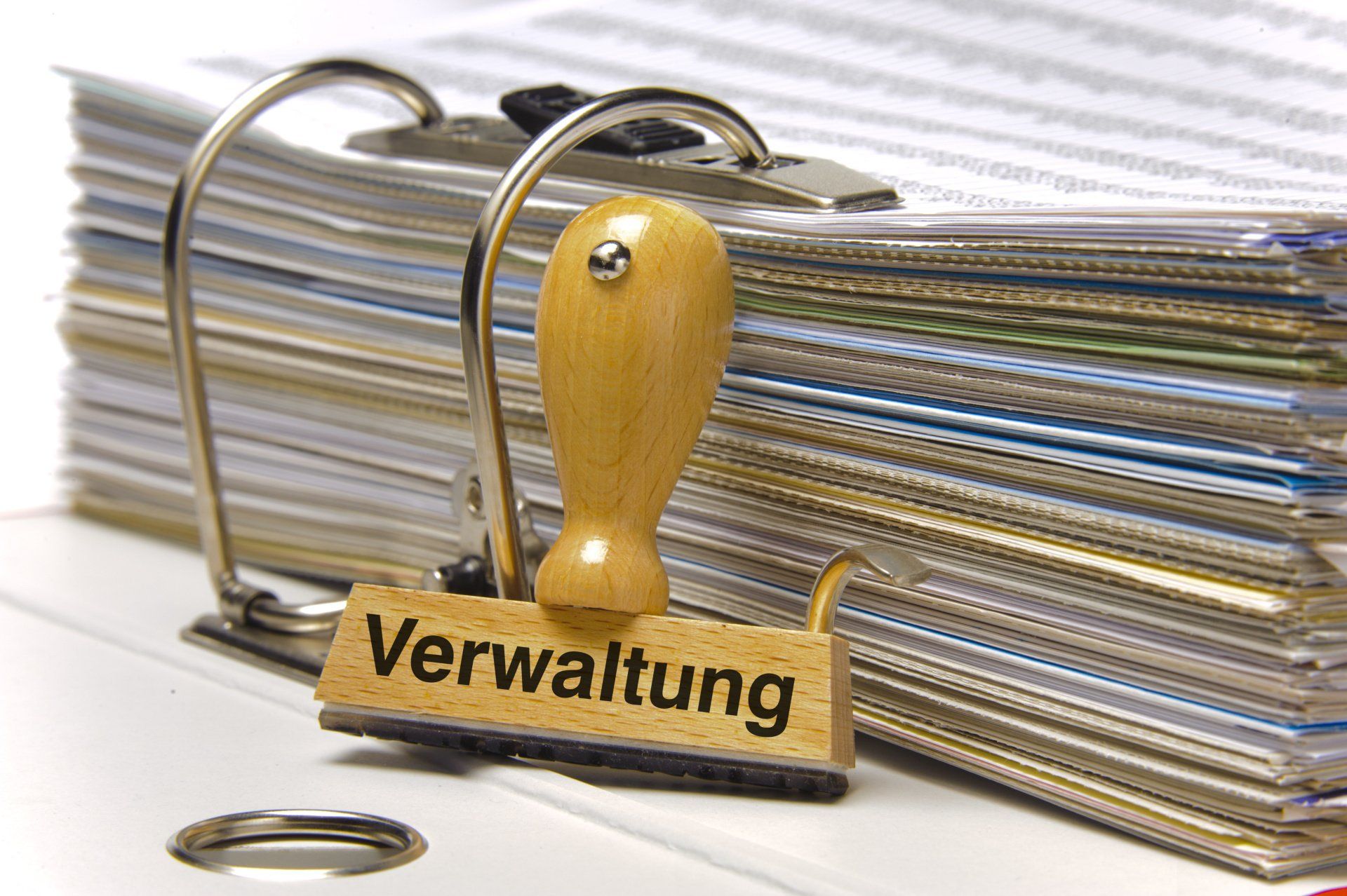 BVIB e.V. Berufsverband für Integrations- und Berufssprachkurse - für ...