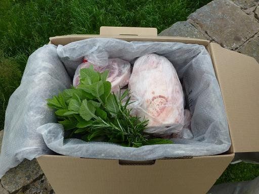 Lamb Boxes from the Peak District - heritage Shropshire Breed