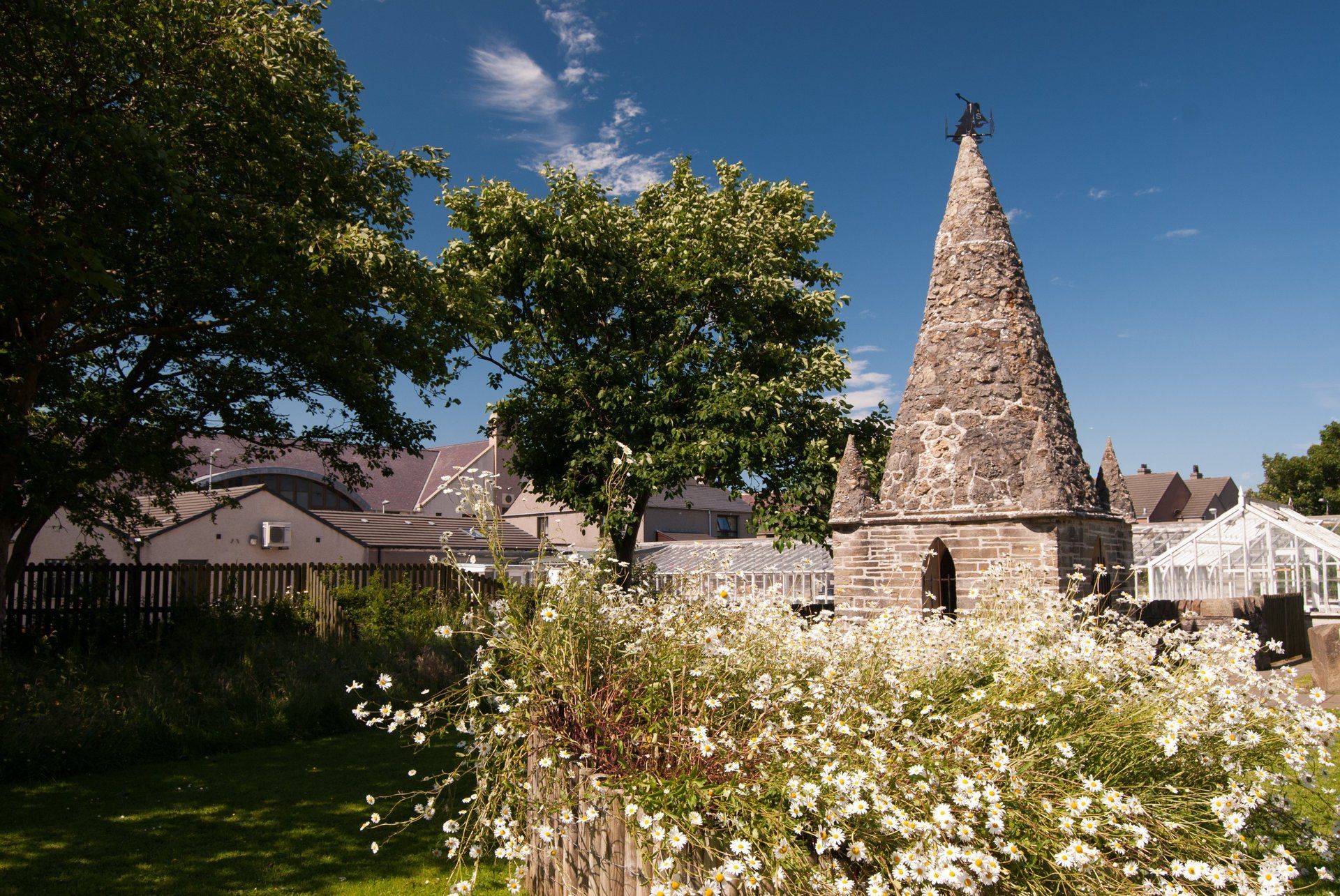 Kirkwall Walking Tours