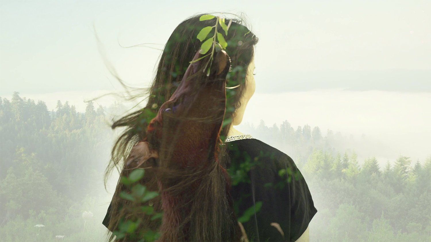 Press-Book I Ferdaous Official Site