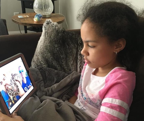 We are now offering Virtual encounters and programs.