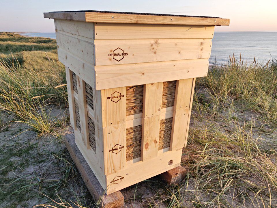 OPTIMAL BEES, Beste Bienen Beute, Klima Beute, Schilf Stroh Beute ...
