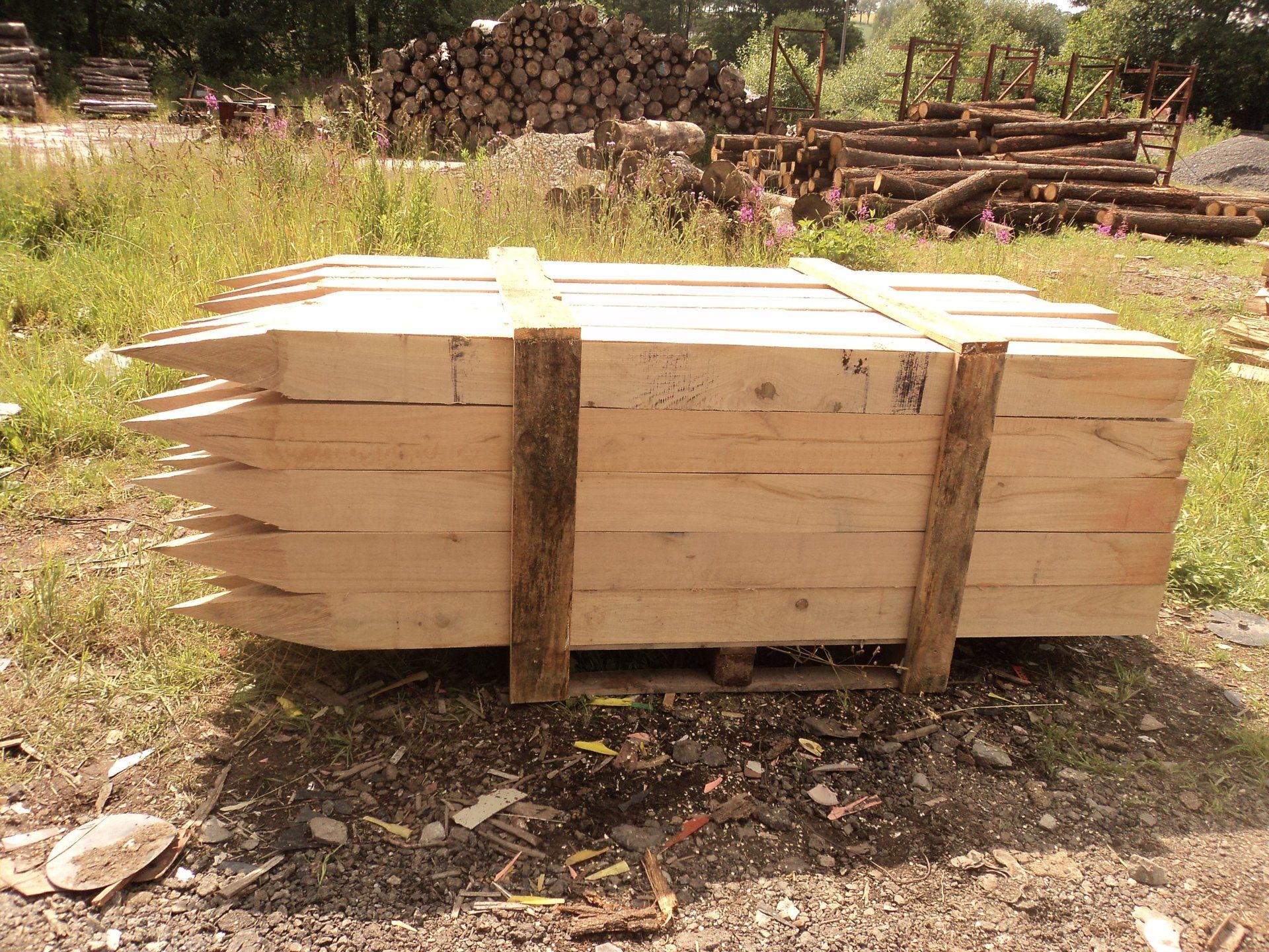 Weidepfahl, Eichenpfahl, Koppelpfahl, Zaunpfahl, Pfahl