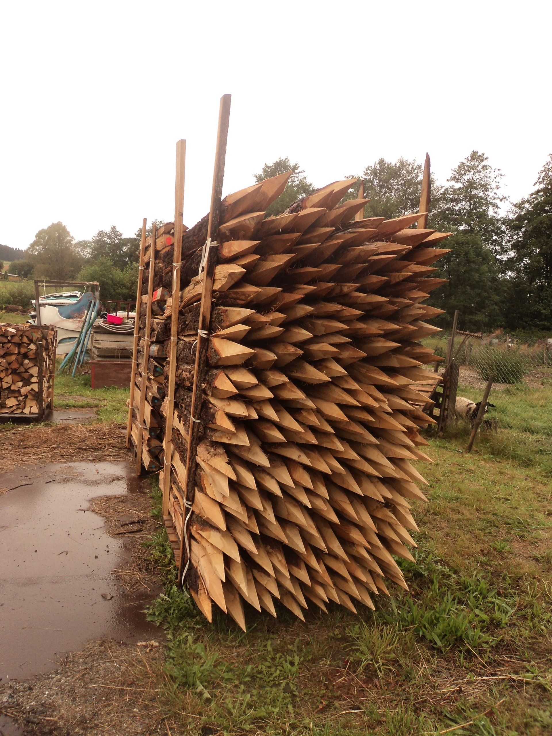 Weidepfahl, Eichenpfahl, Koppelpfahl, Zaunpfahl, Pfahl