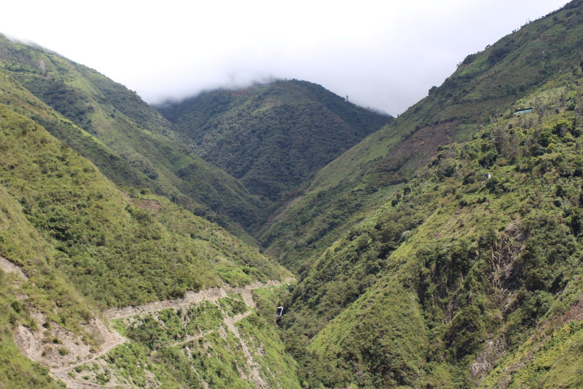 La Selva -Selva de Sueños ONG