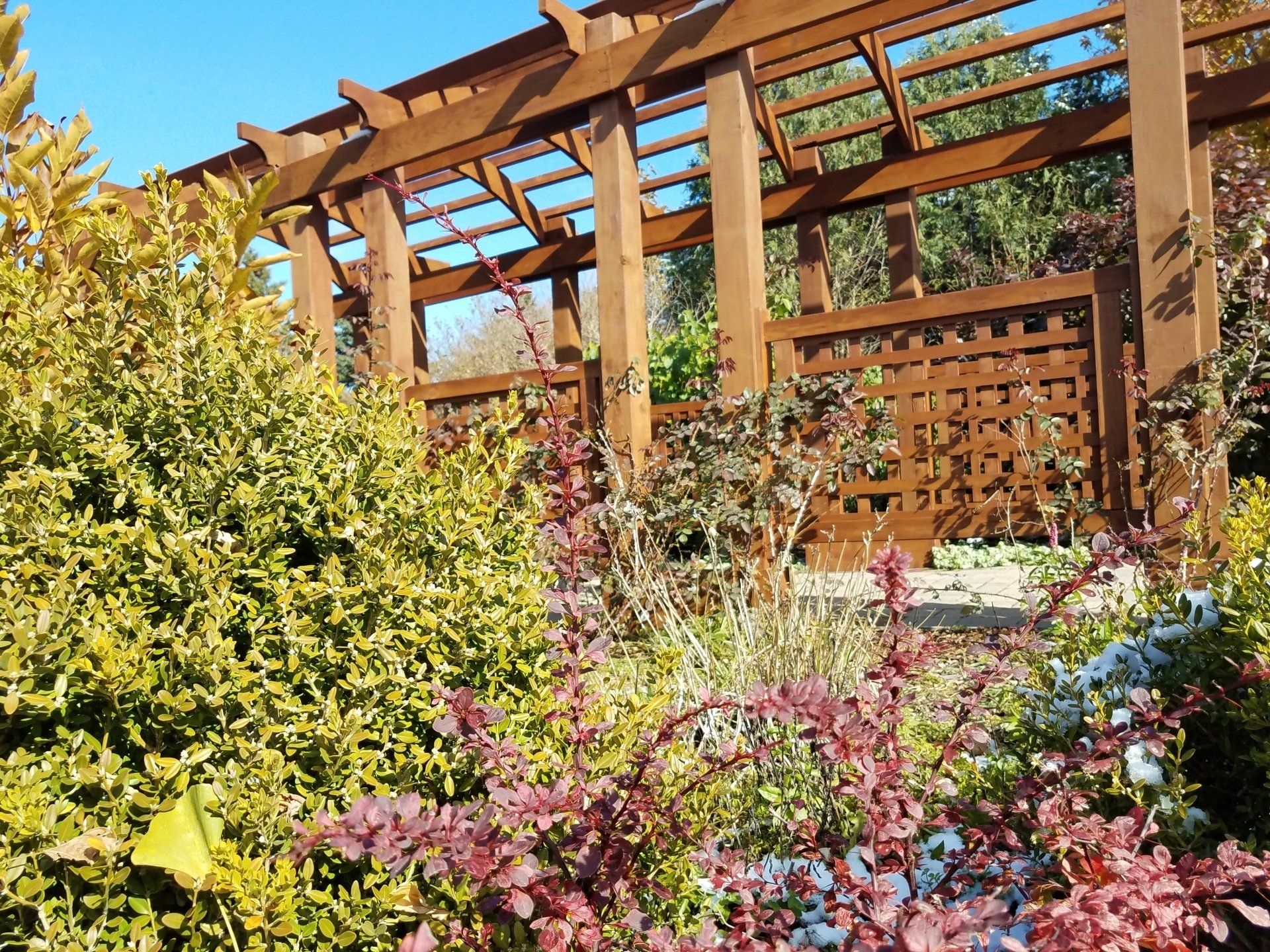 Home - Cedar Valley Arboretum & Botanic Gardens