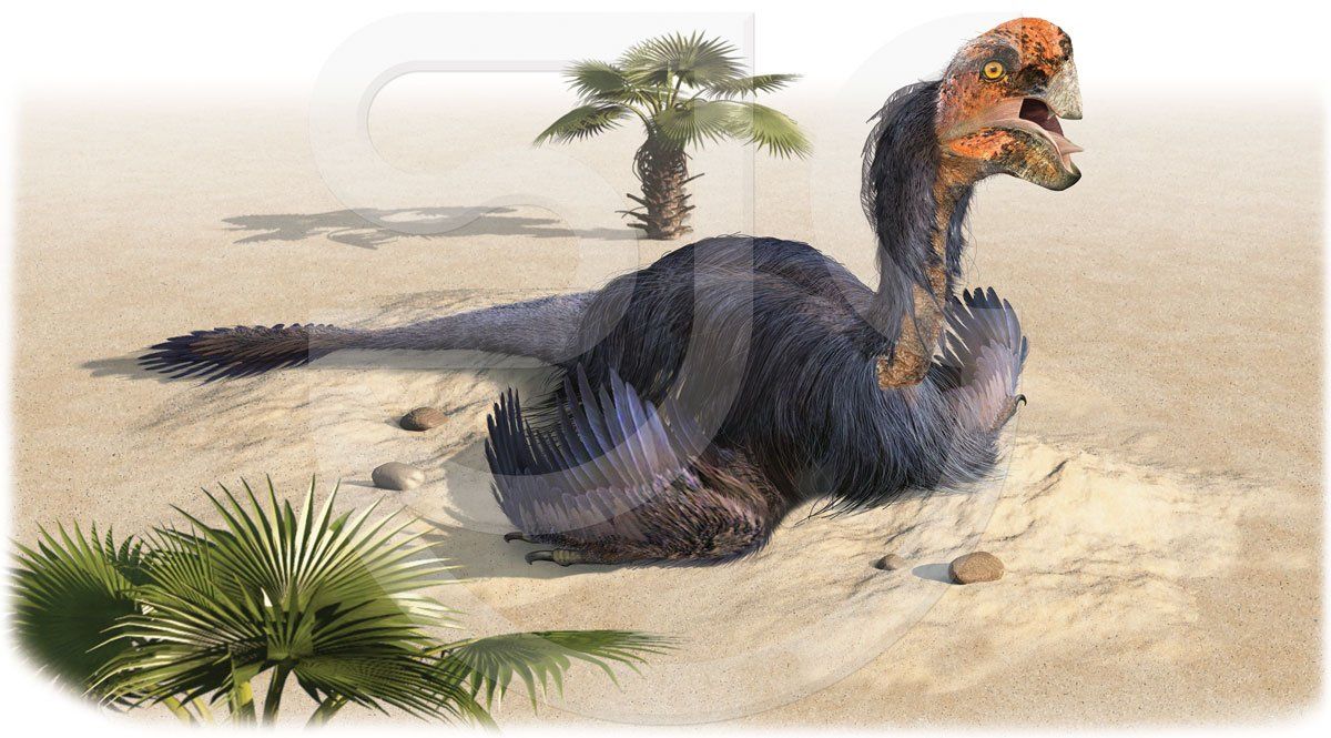 Prehistoric • Dinosaurs • Evolution | SJC Illustration Gallery