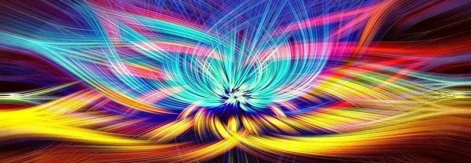 Lesen im morphischen Feld