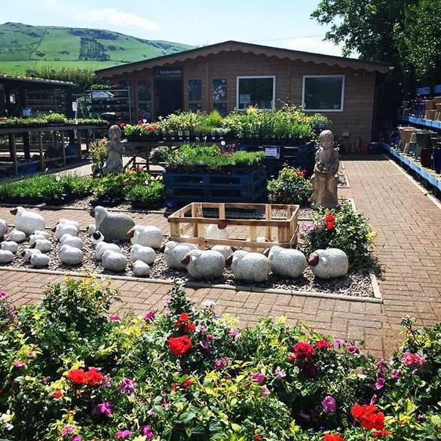 Pendre Garden Centre & Cafe Rosa