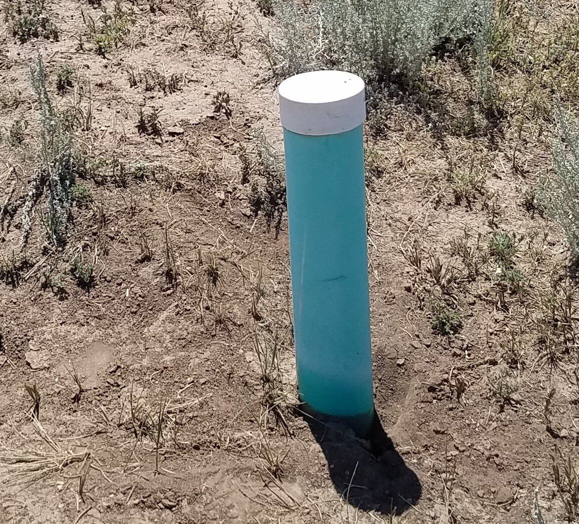 Signs of a Failing Leach Field