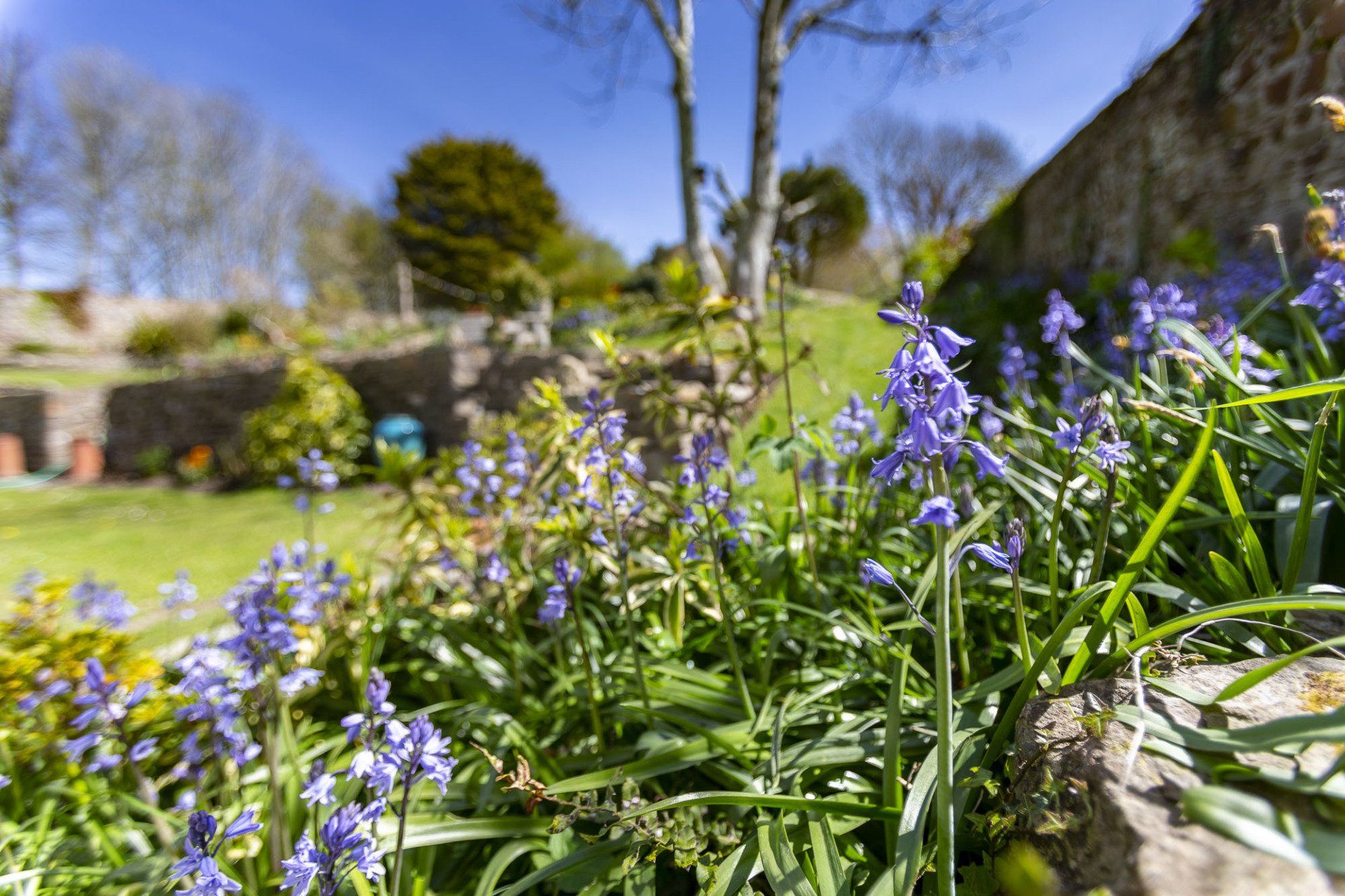 Bed & breakfast rooms | Bude, Cornwall | Stratton Gardens