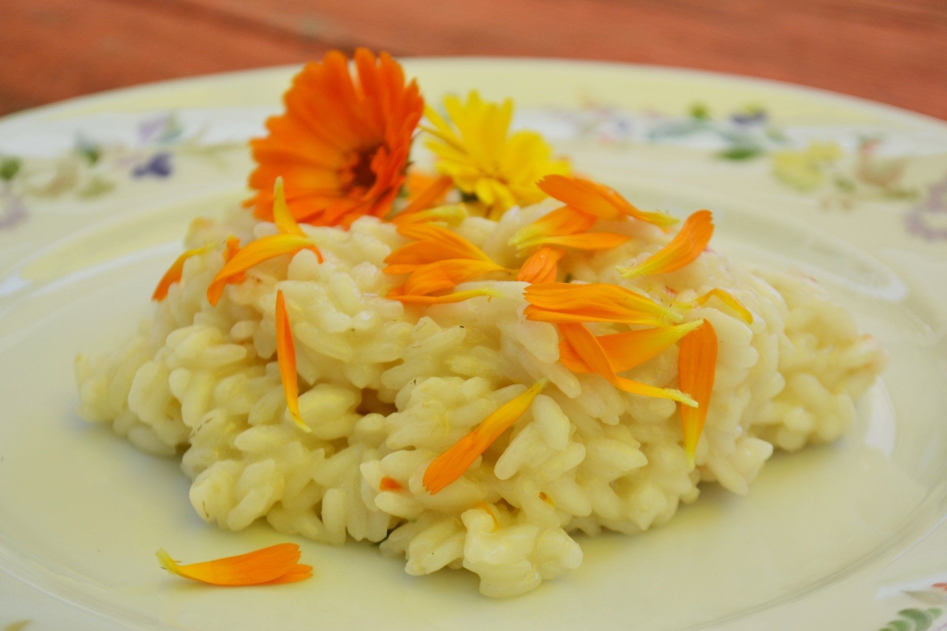 Calendula, lo zafferano dei poveri