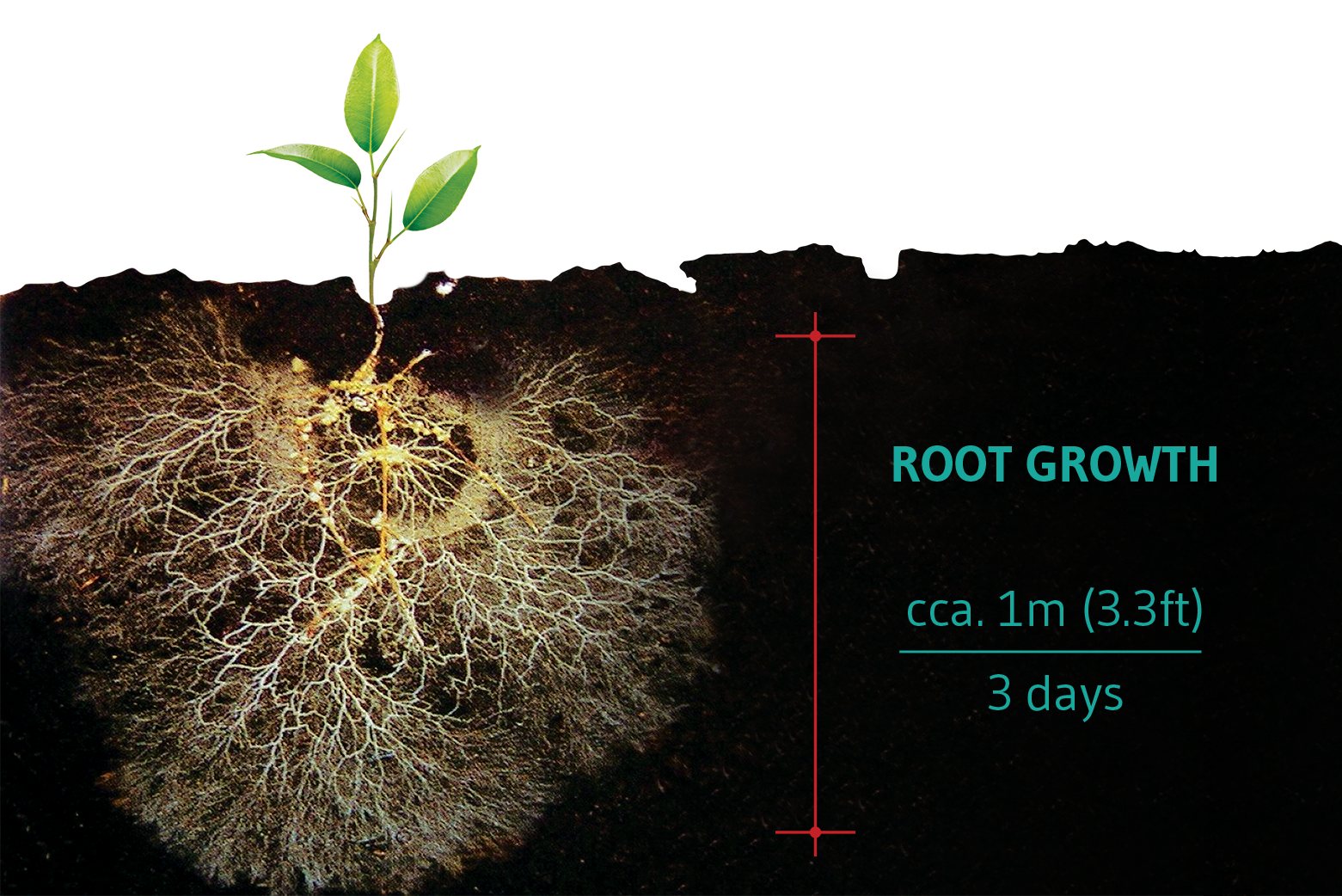 TerraFuture Technology Compound - For a Better World!